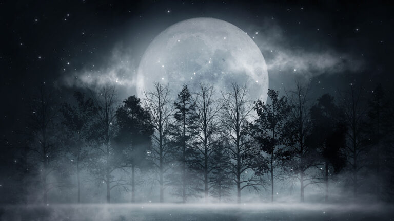 Luna piena 8 dicembre in Rohini: cambiare marcia verso nuove mete ...